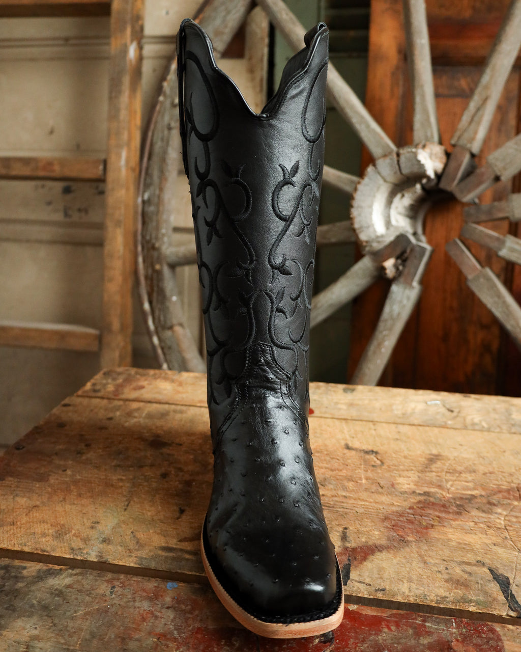 R. Watson Women's Ostrich Full Quill Ostrich Narrow Square 14" Boot ...